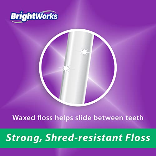 BrightWorks Dental Floss Mint Waxed - 55 Yards (Pack of 4) – Shop ...